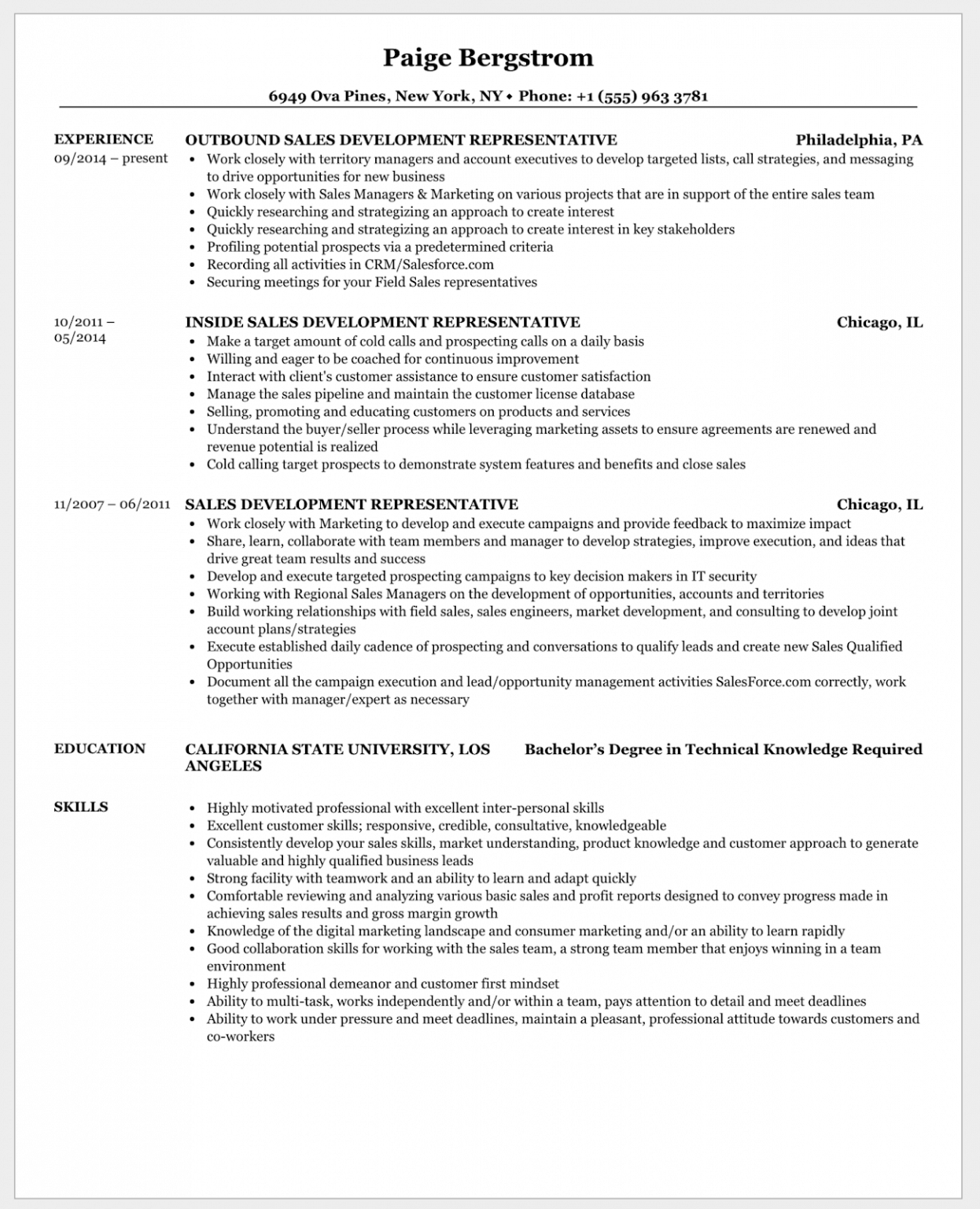 Sales Resume Examples to Win Your Dream Job